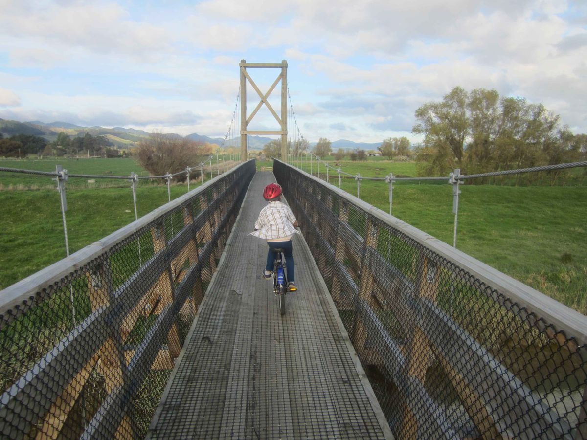 Hauraki Rail Trail Tour | 2 Day Cycling Adventure